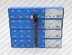 德尔福28308779 A6510703287喷油器 OM651 D22 MRA 150KW DRY-阿里巴巴