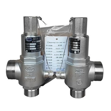 DA22Y-40P DA22F-40P 不锈钢低温安全阀 DN10 15 20 25 空分配套-阿里巴巴