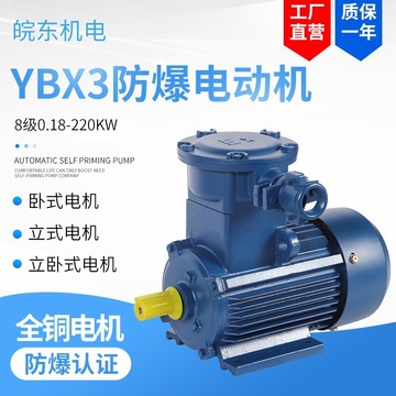 厂家供应防爆电机 YBX3 YBX4 YBBP 隔爆粉尘 变频电机 防爆-阿里巴巴