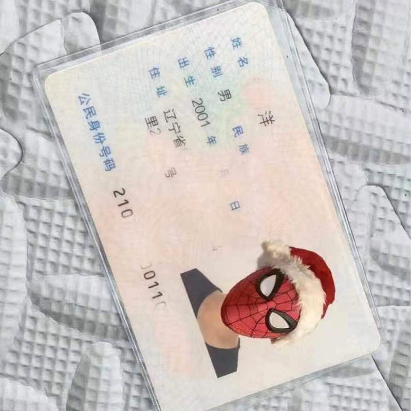 抖音同款恶搞身份证卡套保护套头套身份证透明防磁身份证头像恶搞-阿里巴巴