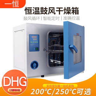 上海一恒DHG-9070数显电热鼓风干燥箱 实验室电热恒温干燥箱 烘箱-阿里巴巴