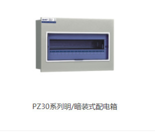 国标型PZ30系列明装/暗装式配电箱 照明动力配电箱C65 4回-45回路-阿里巴巴