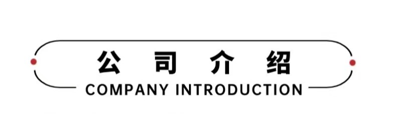 3097099 3097100 凸轮制动器 适用于沃尔沃Volvo-阿里巴巴