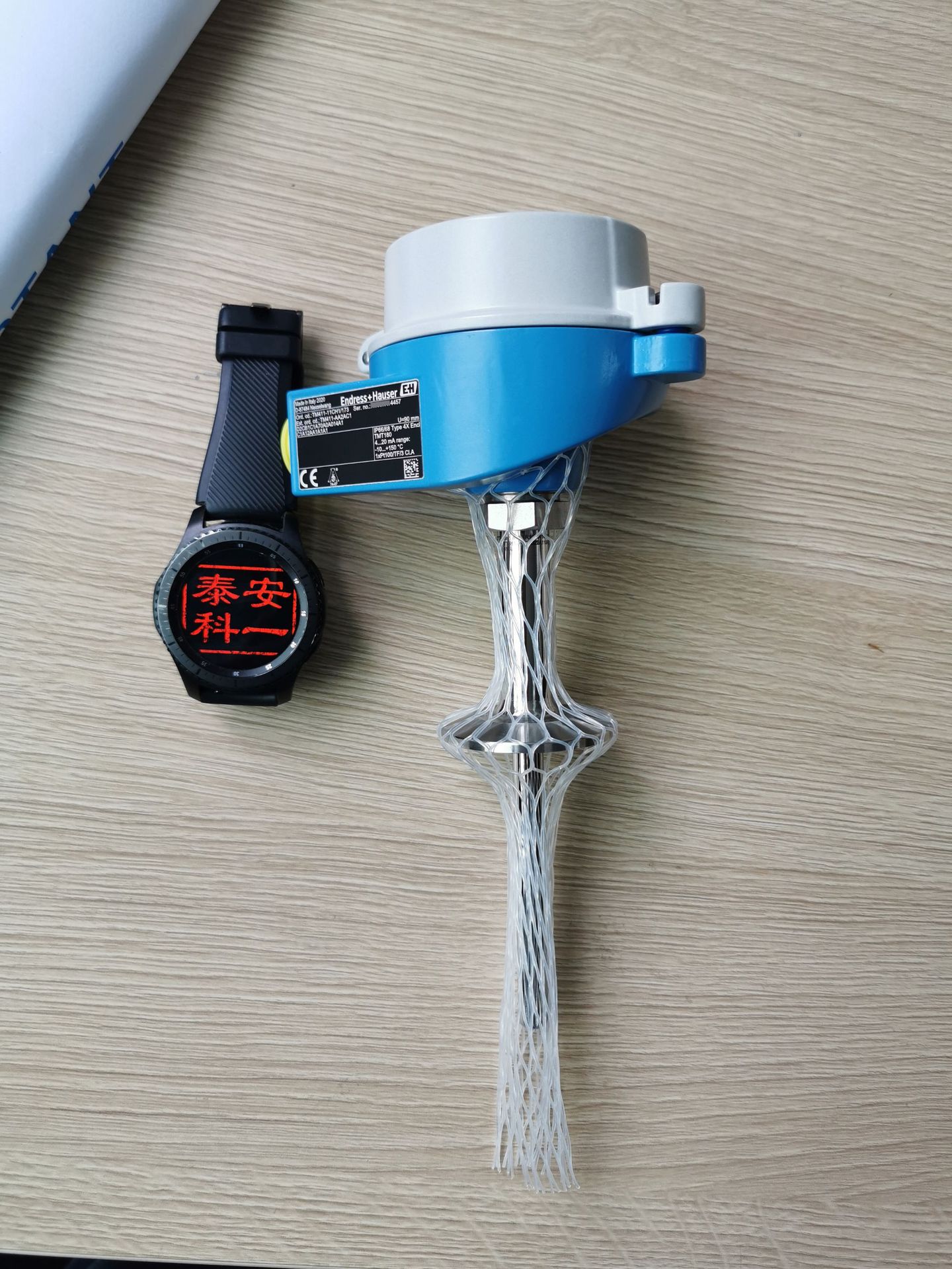 Endress+Hauser温度计 iTHERM ModuLine TM131/TM111温度变送器-阿里巴巴