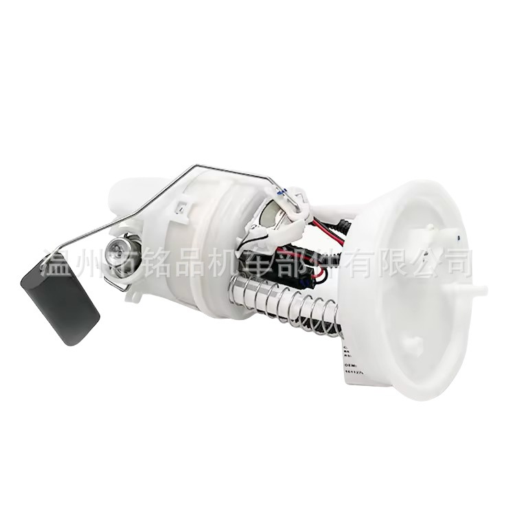 16112765806 09750569900 16112754806 16119810569 燃油泵总成-阿里巴巴