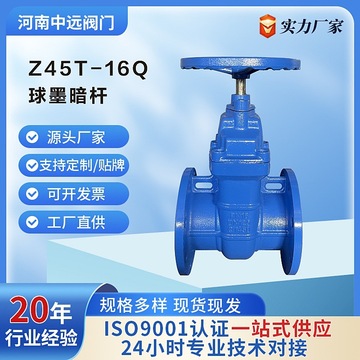 暗杆防护闸阀Z45T-16Q球铁赣玛体通径不锈钢杆铜芯暗杆法兰闸阀-阿里巴巴