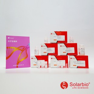 G5580 10000*SolarBlue 核酸染料 分子生物学 科研用-阿里巴巴