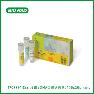 伯乐Bio-Rad1708891 iScript cDNA Synthesis Kit, 100Rxn试剂盒-阿里巴巴