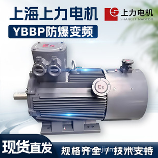 上海上力电机YBBP防爆变频电动机 280M-4极卧式380V三相异步电机-阿里巴巴