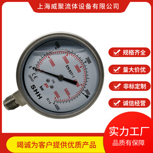 超高压不锈钢耐震压力表2000BAR，轴向径向，200MPA，G1/4，G1/2-阿里巴巴