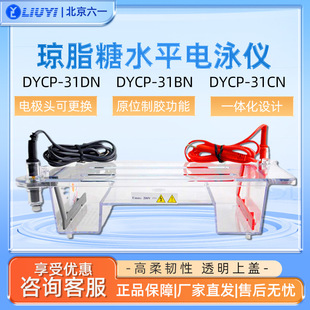 北京六一DYCP-31DN 实验室琼脂糖核酸凝胶制胶器电泳仪电源电泳槽-阿里巴巴