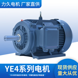 力久YE4系列8极三相异步电动机IE4压缩机运输机械电机-阿里巴巴