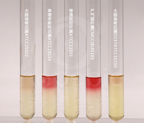 MR-VP培养基 Methyl Red Voges Proskauer Broth HB0113 250g-阿里巴巴