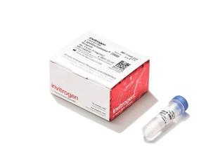 赛默飞life lipo2000转染试剂11668027规格0.75ml-阿里巴巴