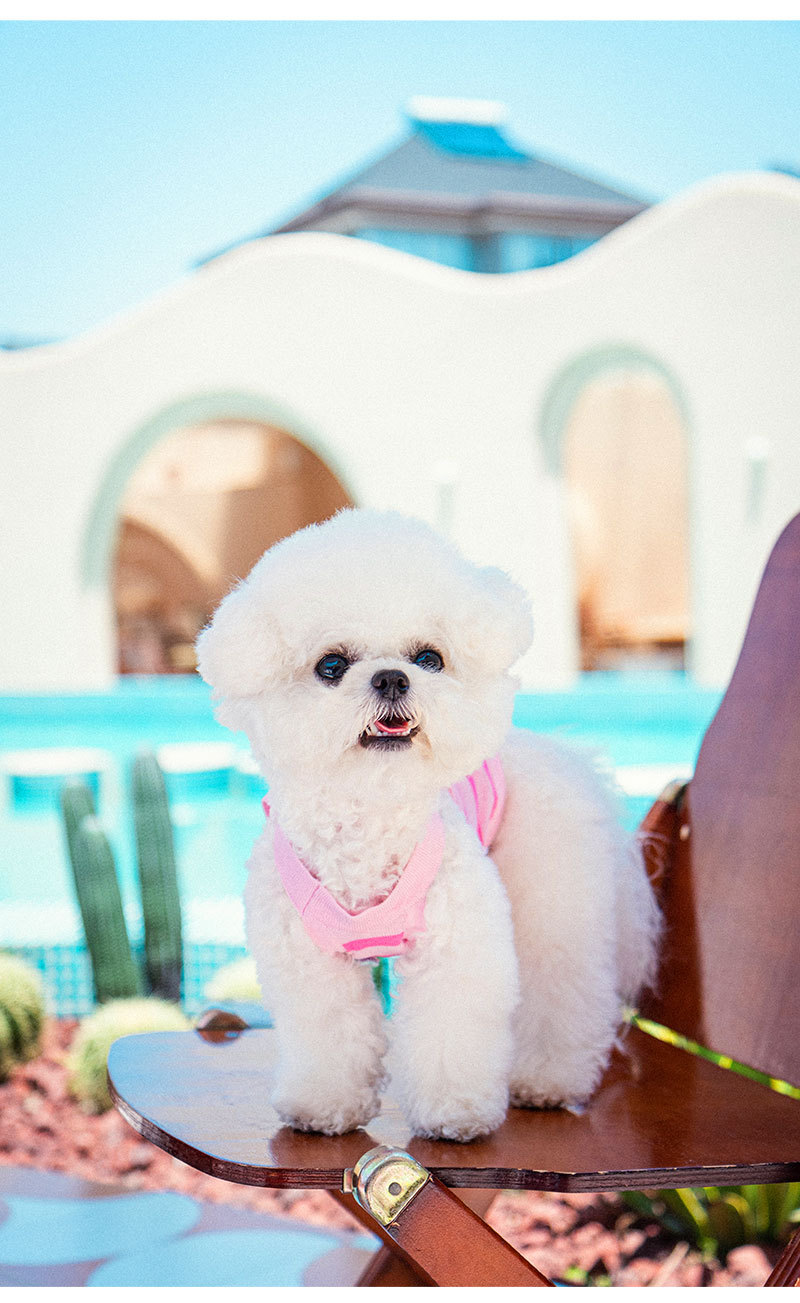 mookipet狗狗衣服批发秋冬季马尔济斯约克夏宠物狗猫小型犬背心-阿里巴巴