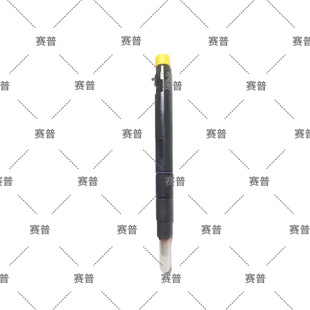 28288104 柴油共轨喷油器总成 278901160106 适用于德尔福塔塔-阿里巴巴