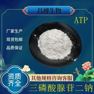ATP三磷酸腺苷二钠 atp厂家生产51963-61-2现货工厂包邮ATP-Na2-阿里巴巴