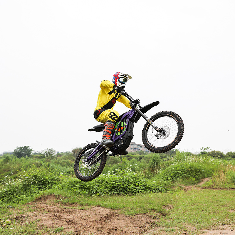 Qiulong Electric Motorcycle Light Bee X Phantom Edition Electric Off ...