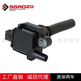 F01R00A021高压包用于北汽威旺306/307M30点火线圈OE 0221500803,-阿里巴巴