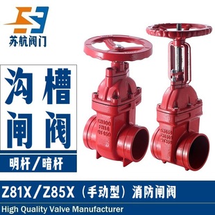手动沟槽闸阀Z81/Z85X-16Q球墨铸铁QT450明杆/暗杆软密封消防阀门-阿里巴巴