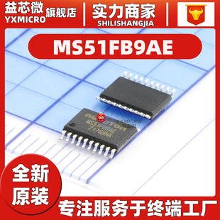 原装MS51FB9AE 封装TSSOP20 管脚对脚兼容替代N76E003AT20 单片机-阿里巴巴