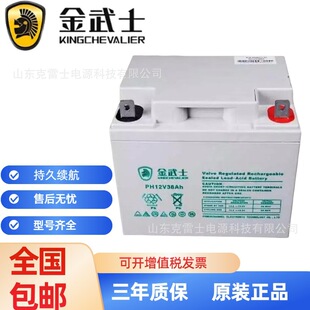 金武士蓄电池PH38-12 12V38AH铅酸阀控密封消防主机通讯UPS电源用-阿里巴巴