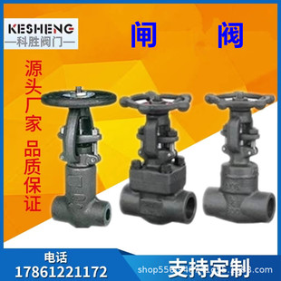 厂家供应Z61W Z61Y Z61H锻钢对焊闸阀 锻钢闸阀 高压闸阀-阿里巴巴
