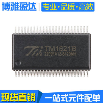 TM1621B 贴片SSOP-48 内存映象和多功能的LCD驱动器芯片 HT1621B-阿里巴巴