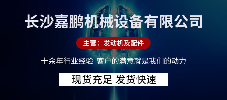 德纳DANA滤芯变速箱滤芯SPICER247052/10058667-阿里巴巴