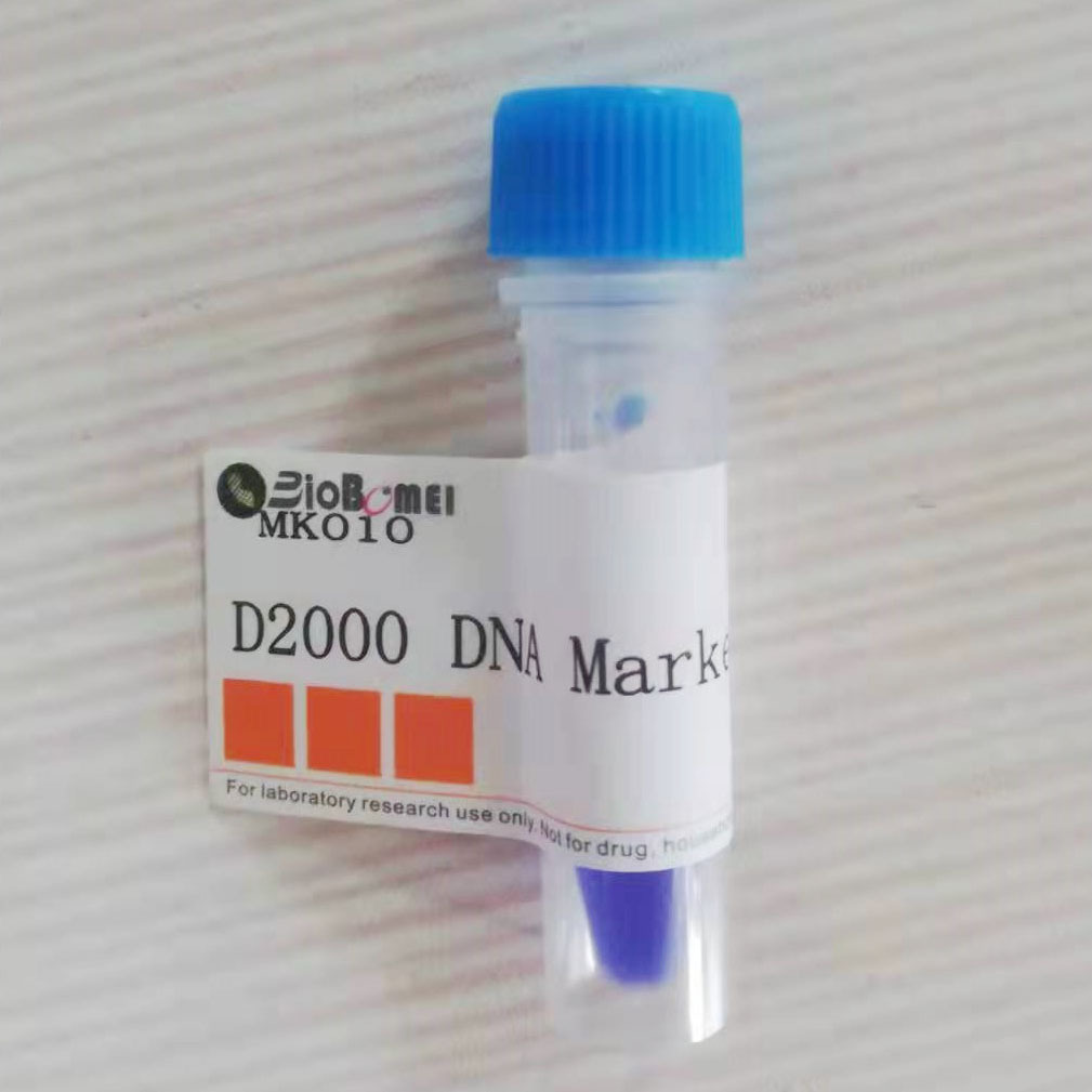 D2000 DNA Marker 实验核酸分子量标准50T 250μl-阿里巴巴