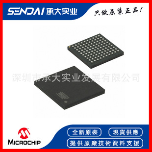 MICROCHIP微芯 ATSAM4E8CB-CNR 单片机 TFBGA-100(9x9) 100%原装-阿里巴巴