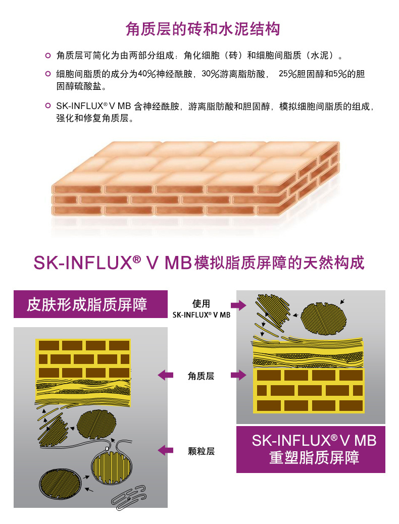 EVONIK赢创 化妆品原料 SK-INFLUX V MB护肤三重神经酰胺屏障修复-阿里巴巴