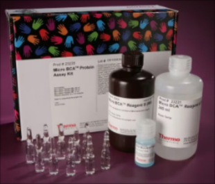 赛默飞Pierce Micro BCA 蛋白定量检测试剂盒500 mL23235-阿里巴巴