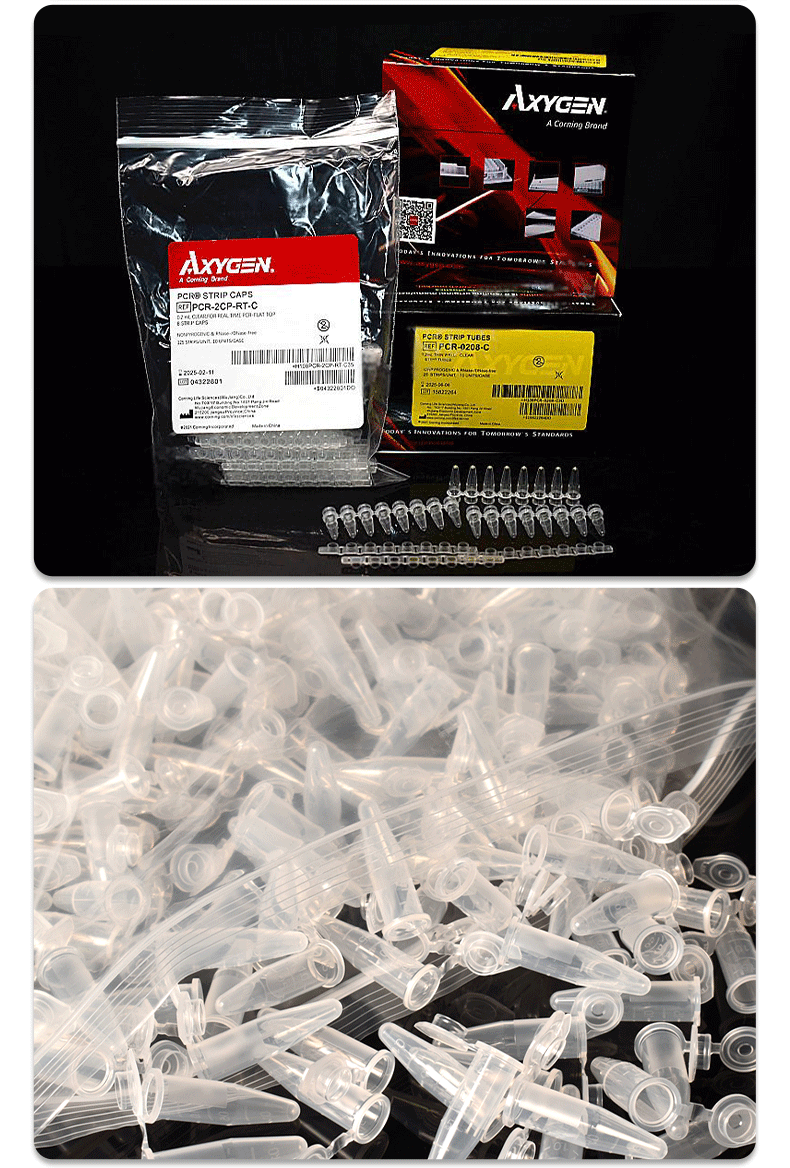 Axygen爱思进0.2/0.5/1.5/2ml离心管EP管无DNA酶RNA酶无热源-阿里巴巴