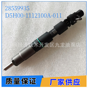 共轨喷油器28559935 D5H00-1112100A-011 适用于德尔福玉柴 长城-阿里巴巴
