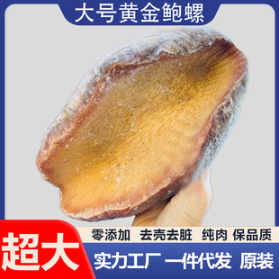 黄金鲍螺批发塞内加尔帝王鲍黄金澳鲍片刺身火锅凉拌烧烤鲜嫩商用-阿里巴巴