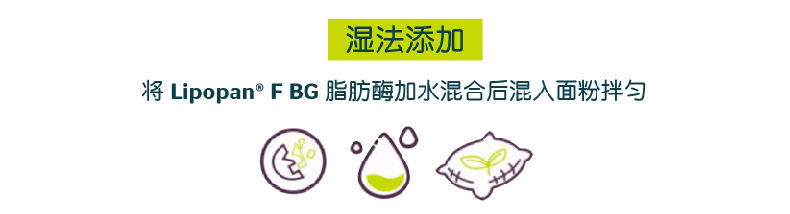 诺维信 食品级 脂肪酶 Lipopan F 改善馒头 包子内部结构 生物酶-食品商务网