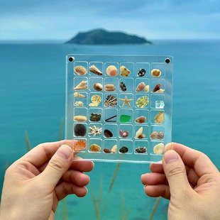 独立柱Acrylic Magnetic Seashell Display Box亚克力 贝壳展示盒-阿里巴巴