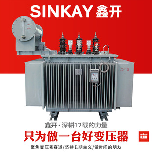 S11-315kva高压33kv/0.415铜500kw三相630 1000 1600油浸式变压器-阿里巴巴