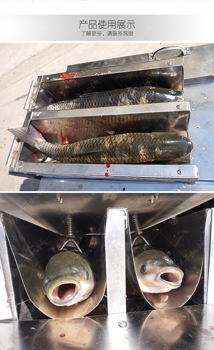全自动立式杀鱼机 商用多功能开肚去内脏宰鱼机 草鱼不锈钢杀鱼机-阿里巴巴
