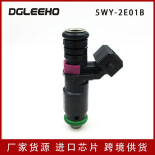汽车燃油喷射器 适用于标致206 喷油嘴 5WY-2E01B 现货 供应-阿里巴巴
