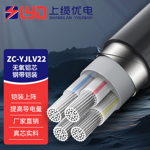 ZC-YJLV22铝芯交联聚乙烯绝缘钢带铠装聚氯乙烯护套电缆电线-阿里巴巴