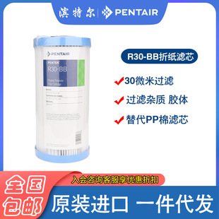 滨特尔蓝瓶10寸大胖折纸R30-BB滤芯原装进口过滤器通用可清洗滤芯-阿里巴巴