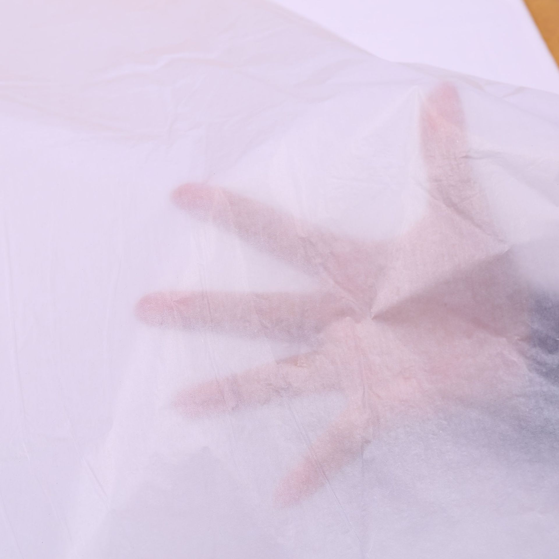 17g Sydney paper copy paper electroplated glass compartment moisture ...