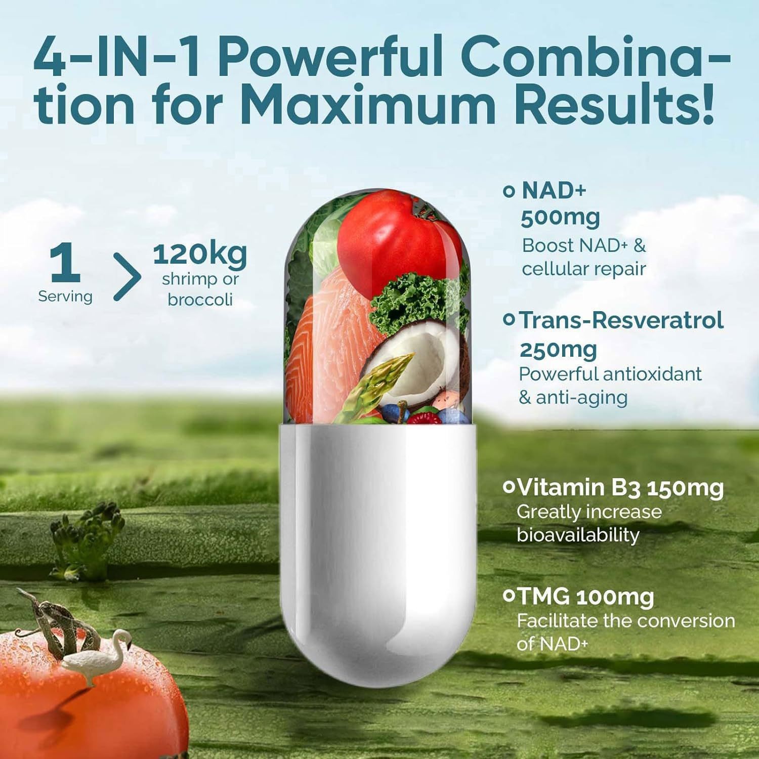 NAD+胶囊NAD capsule 肠道健康 60粒 现货-阿里巴巴