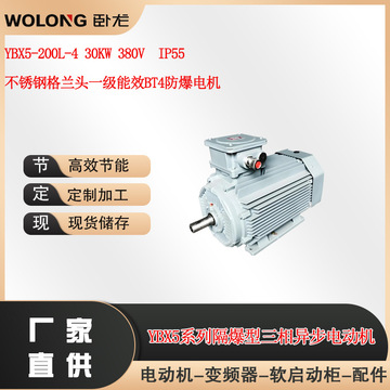 YBX5-200L-4 30KW 380V IP55 不锈钢格兰头一级能效BT4防爆电机-阿里巴巴