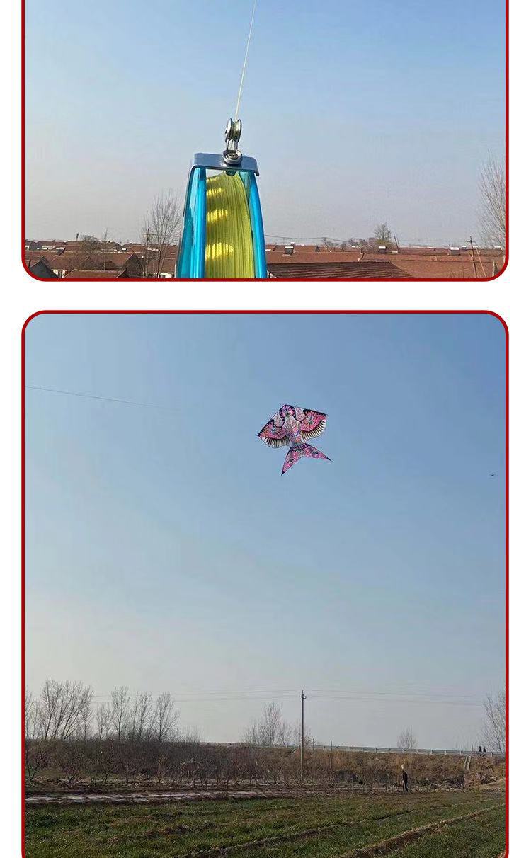 王家庄子风筝厂,潍坊风筝产业市场分析,潍坊最大的风筝厂招聘(第7页)_大山谷图库