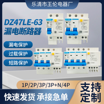 DZ47LE-63/1P/2P/3P/4P漏电断路器6A~63A漏电开关小型漏电断路器-阿里巴巴