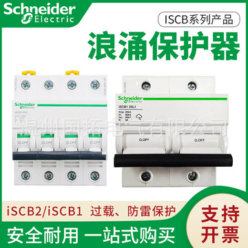 施耐德万高iSCB1浪涌保护器1P/2P/3P/4P电涌保护装置避雷防雷器-阿里巴巴