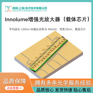 Innolume 增强光放大器（载体芯片）-阿里巴巴